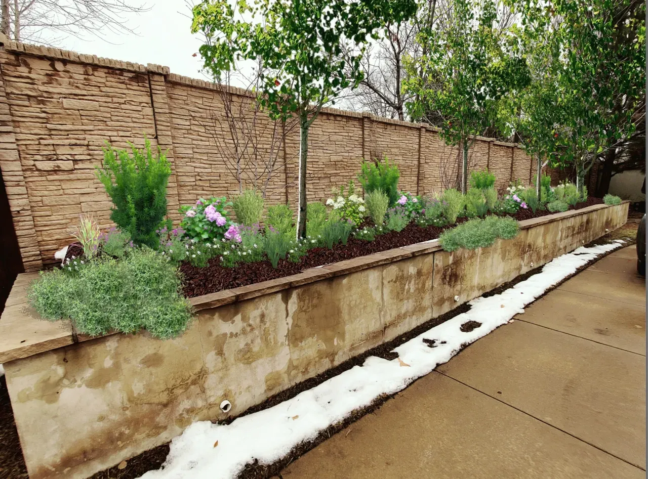 A Comprehensive Guide to Sustainable Garden Design in Denver