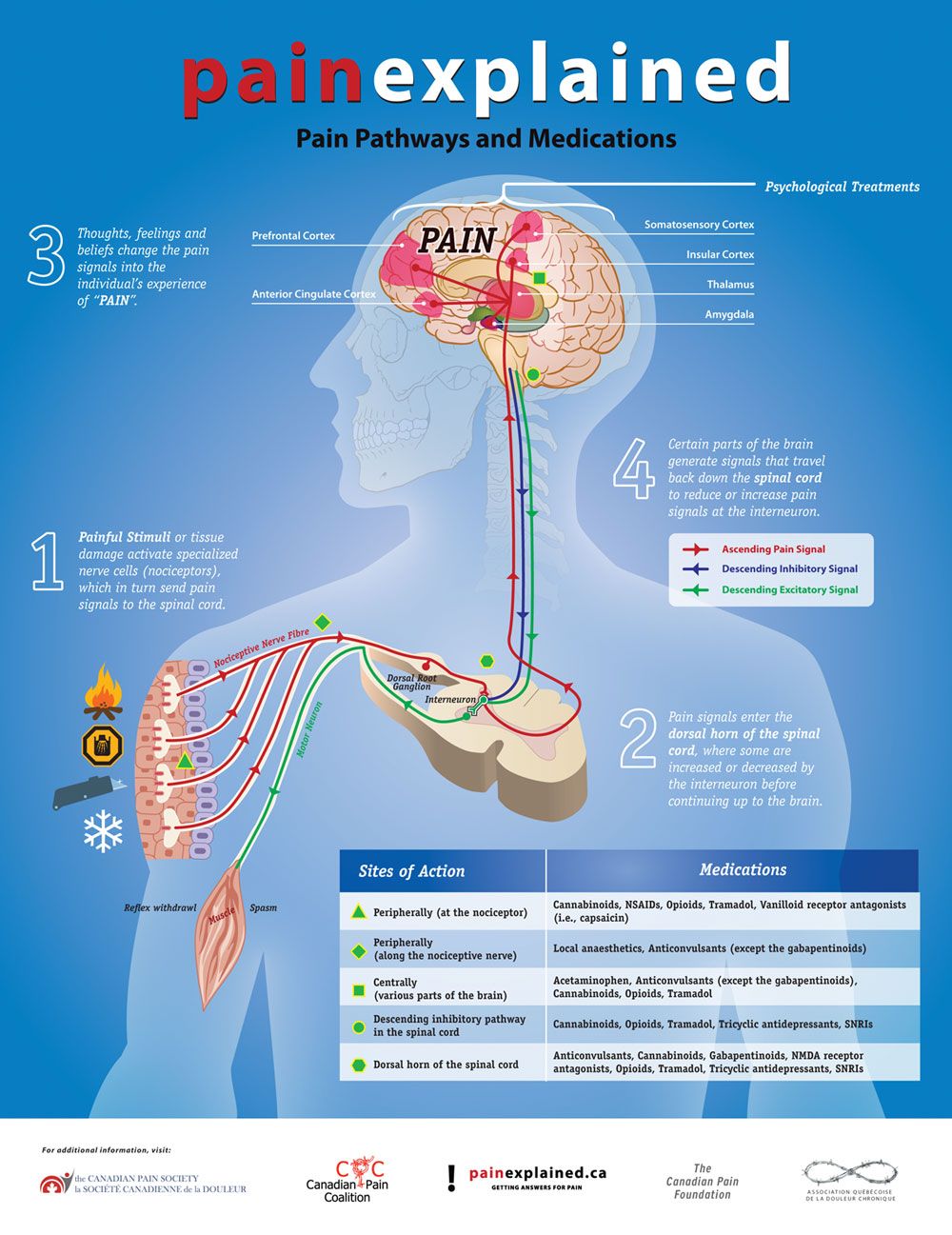 Welcome to Australis Specialist Pain Clinic⼁Pain Management Services ...