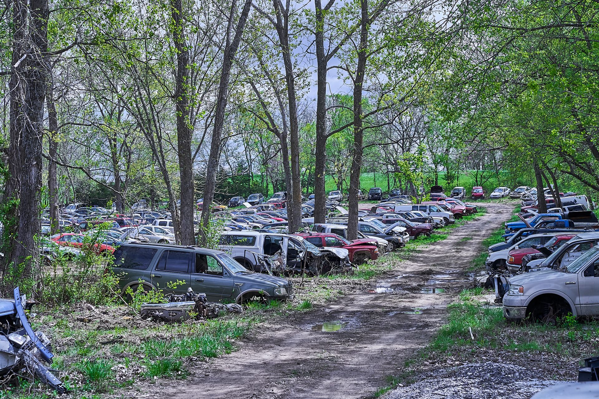 Busy Bee Auto Salvage & Sales: Your One-Stop Auto Parts Shop