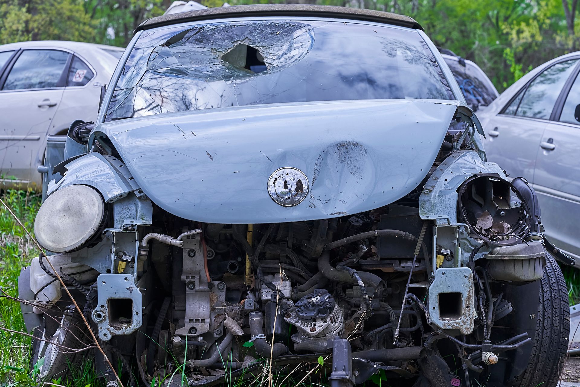 Busy Bee Auto Salvage & Sales: Your One-Stop Auto Parts Shop