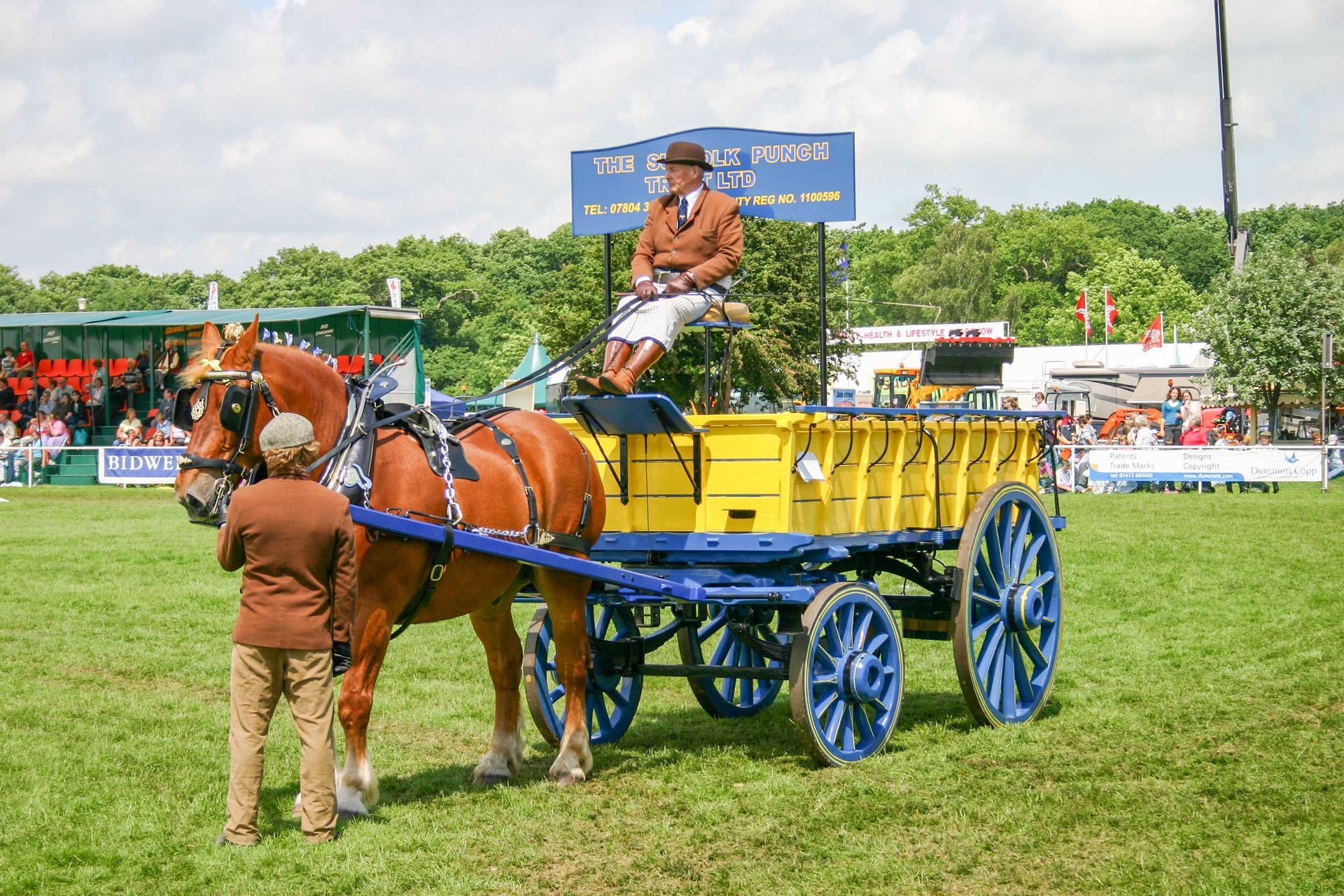 Picture Gallery | The Suffolk Punch Trust