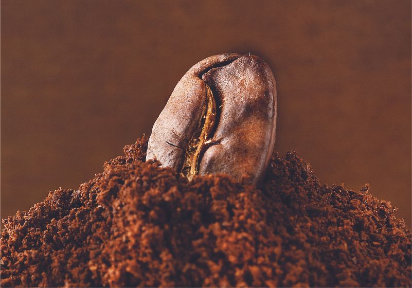 Sobre Los Álamos Café | Sonora