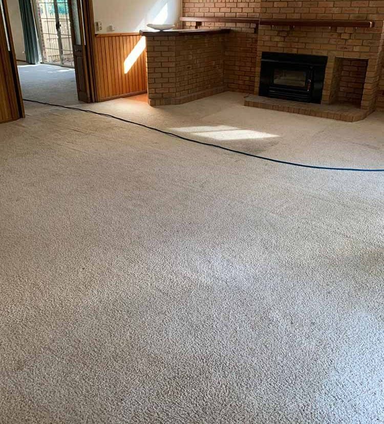 Cleaner in Wodonga | Albury Wodonga Cleaning Service