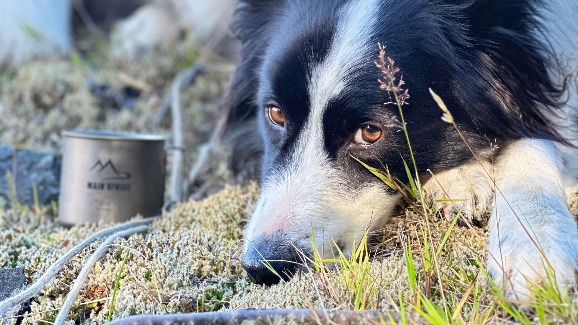 Hunting Apparel & Accessories | Main Divide | NZ