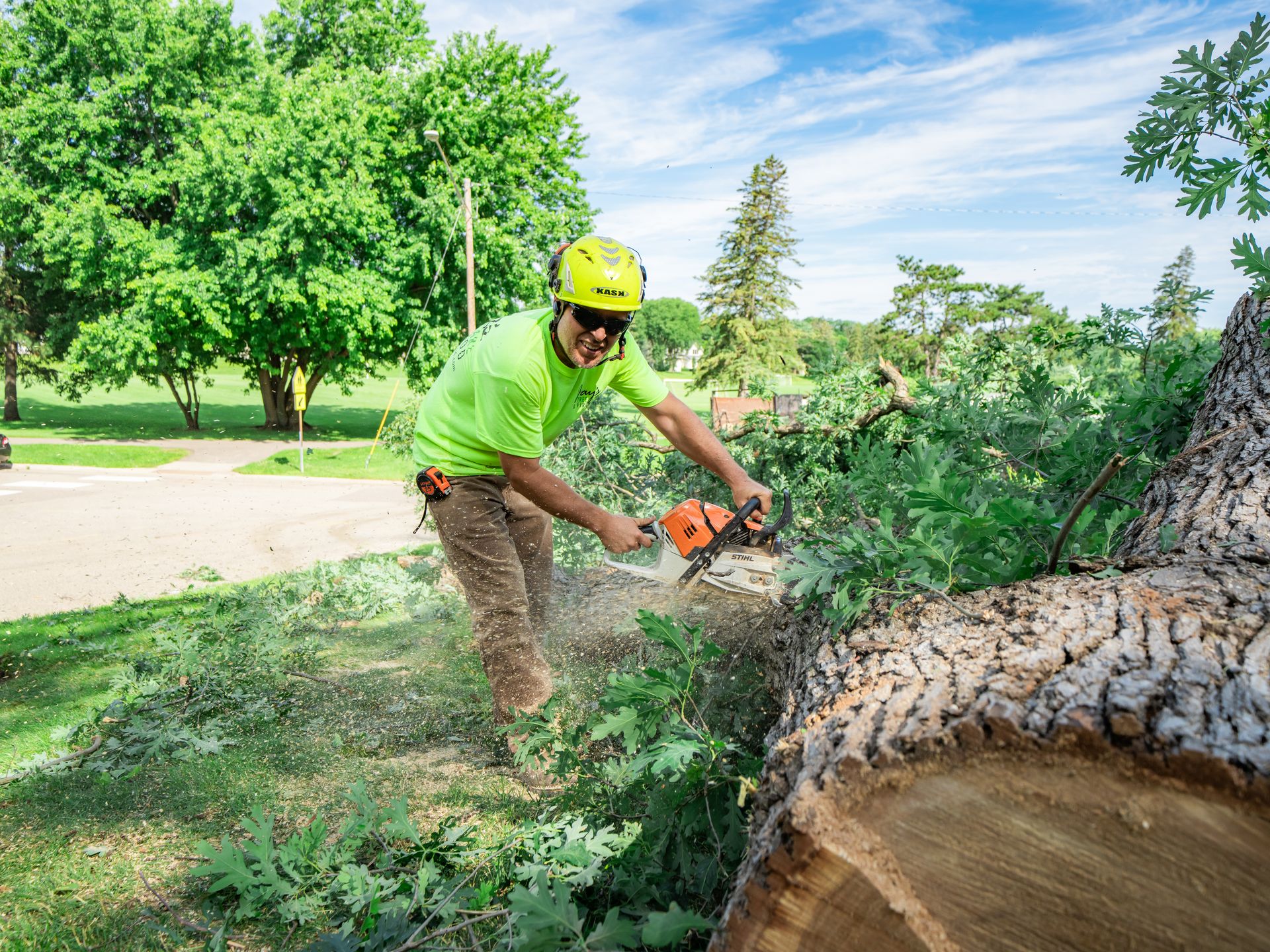 Tree Services | Jay's Tree Care & Firewood | West Metro Area