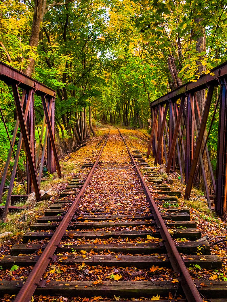 American Funeral Home & Cremation Service