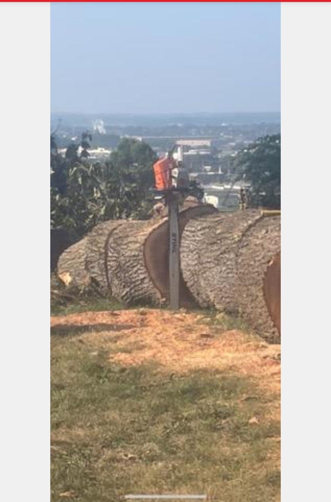 Roof & Tree Photos | Hanover, PA | ANCXUS Roofing