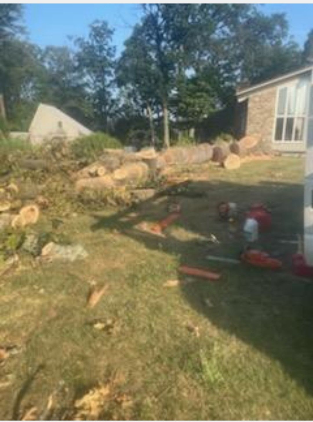 Roof & Tree Photos | Hanover, PA | ANCXUS Roofing