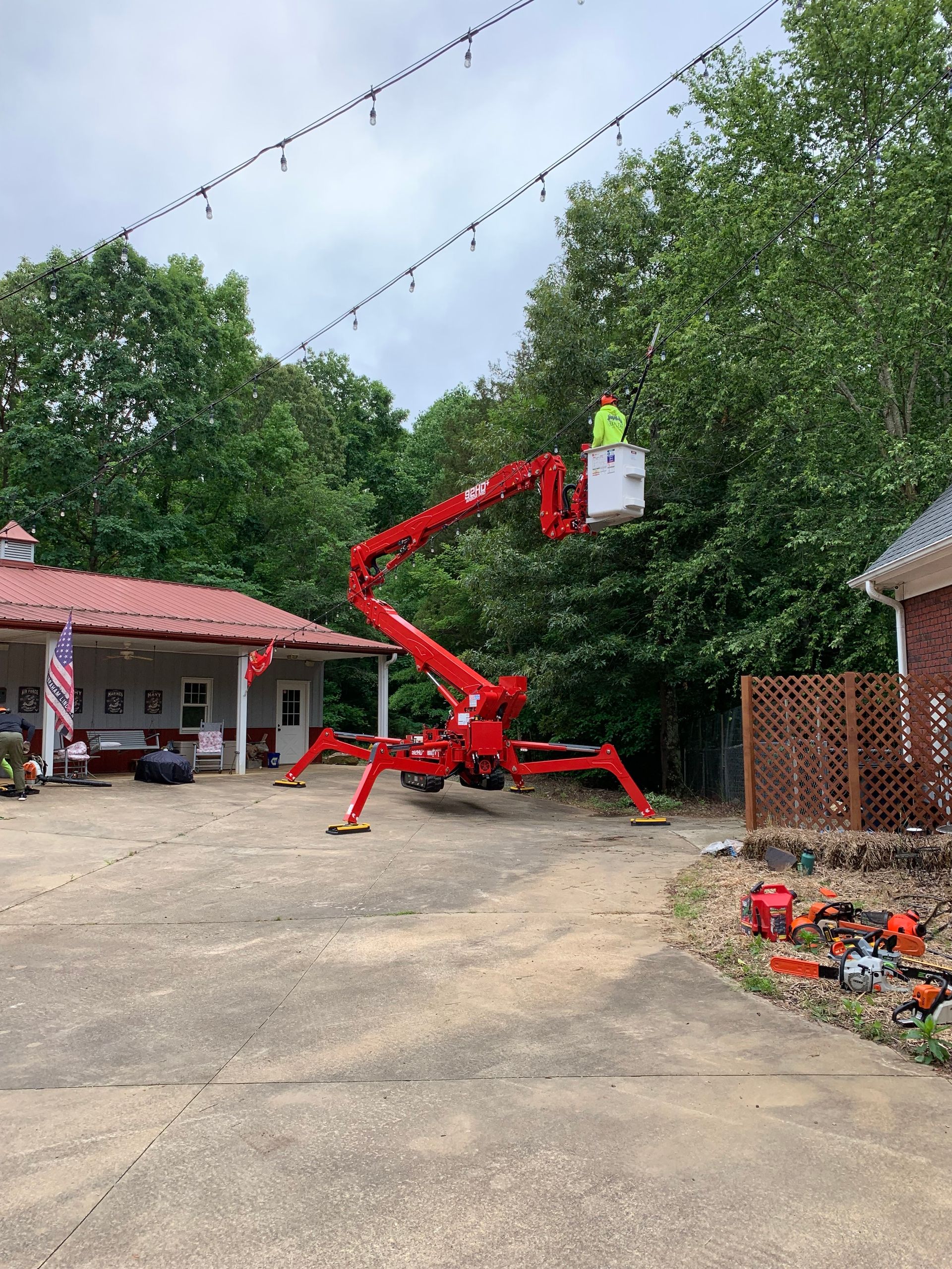 Charlotte's Tree Service Expert | Green Leaf Tree Service