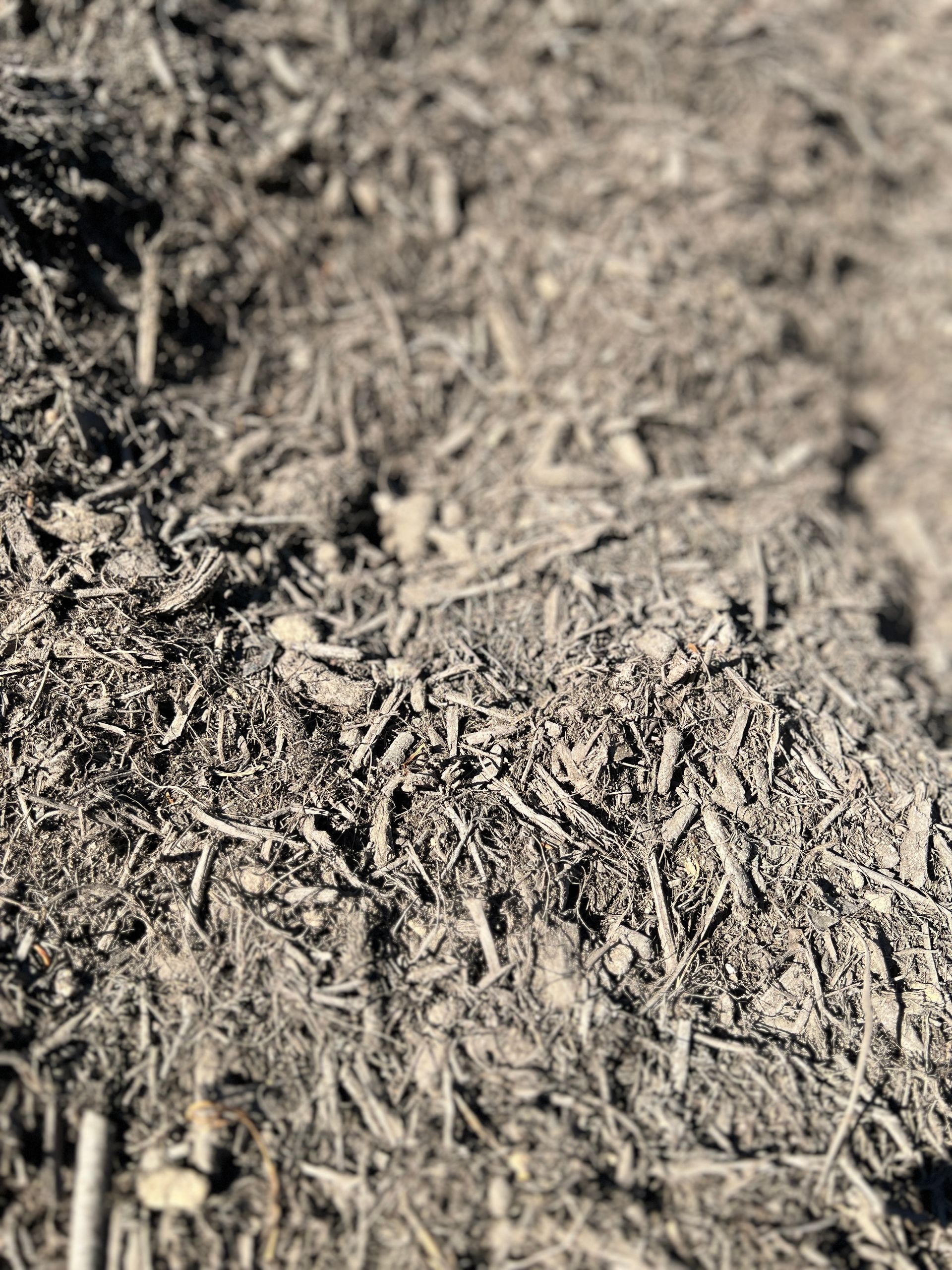 Soils in Orange | Pigot's Mid Western Sand & Soil