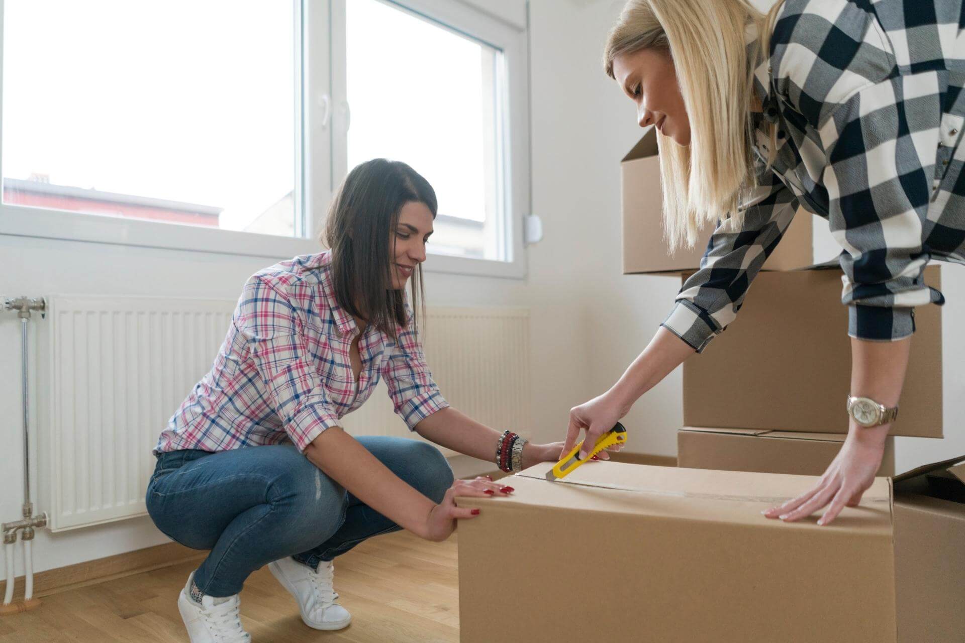 new-lead65589f84b8@newlead.leadsimple.com