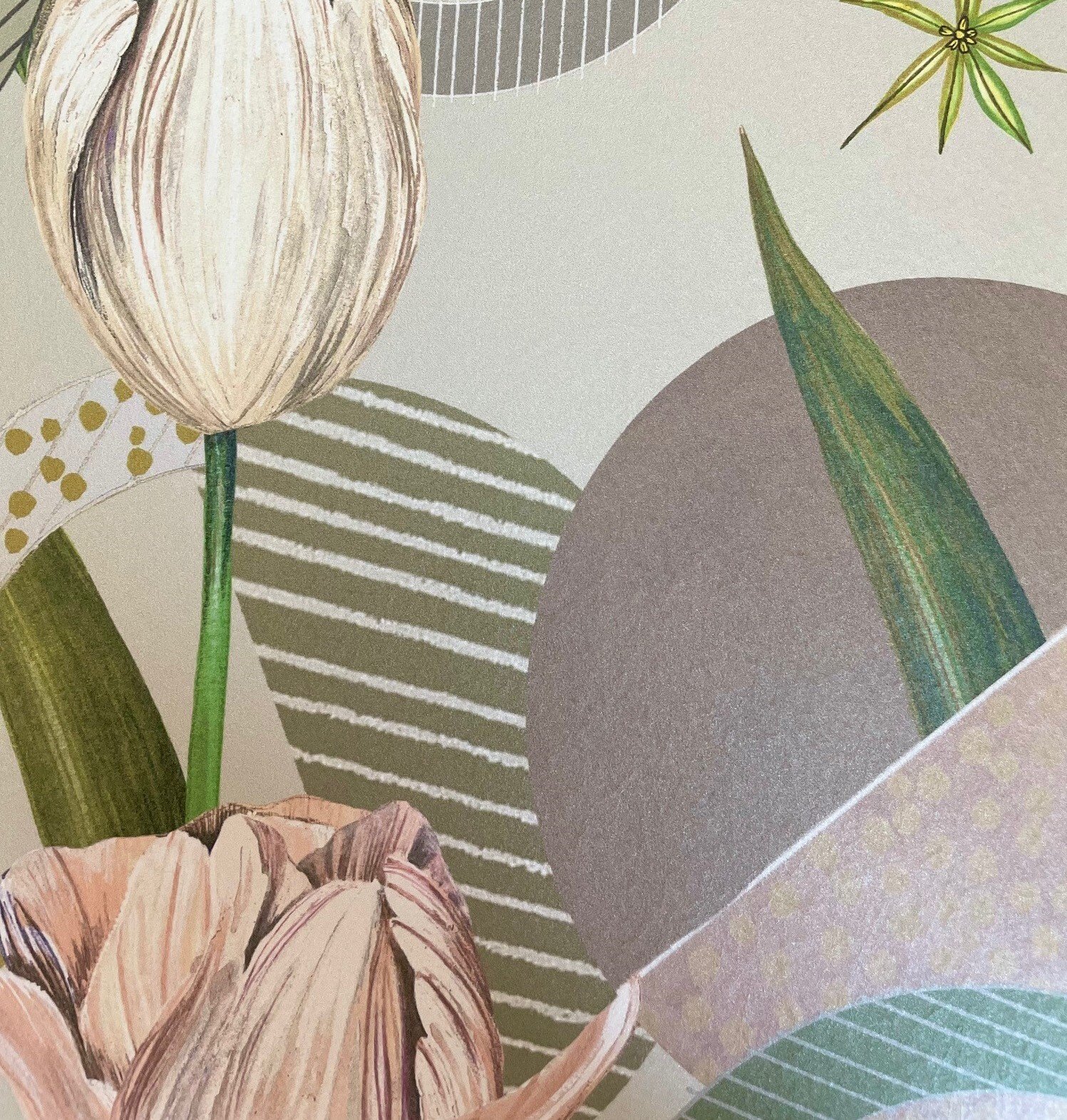 Non-woven wallpapers | John Mark Ltd