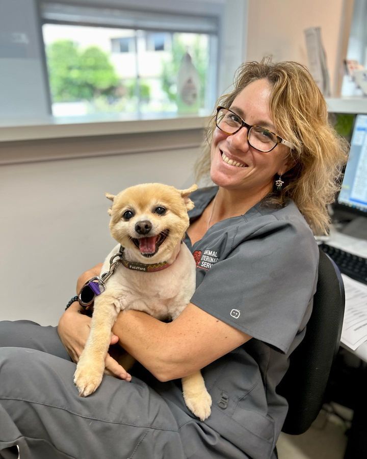 About Us | All Animal Veterinary Services