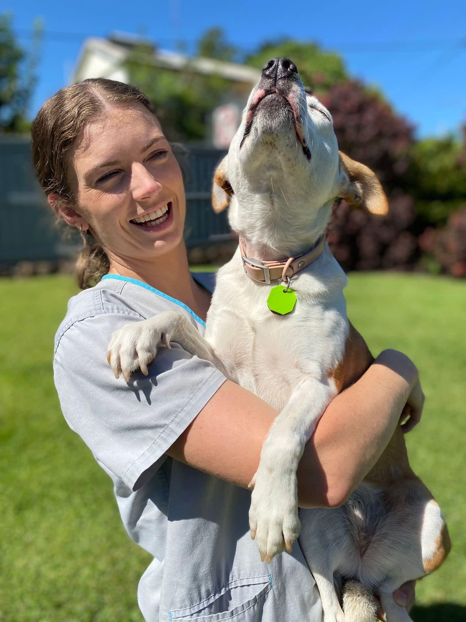 About Us | All Animal Veterinary Services