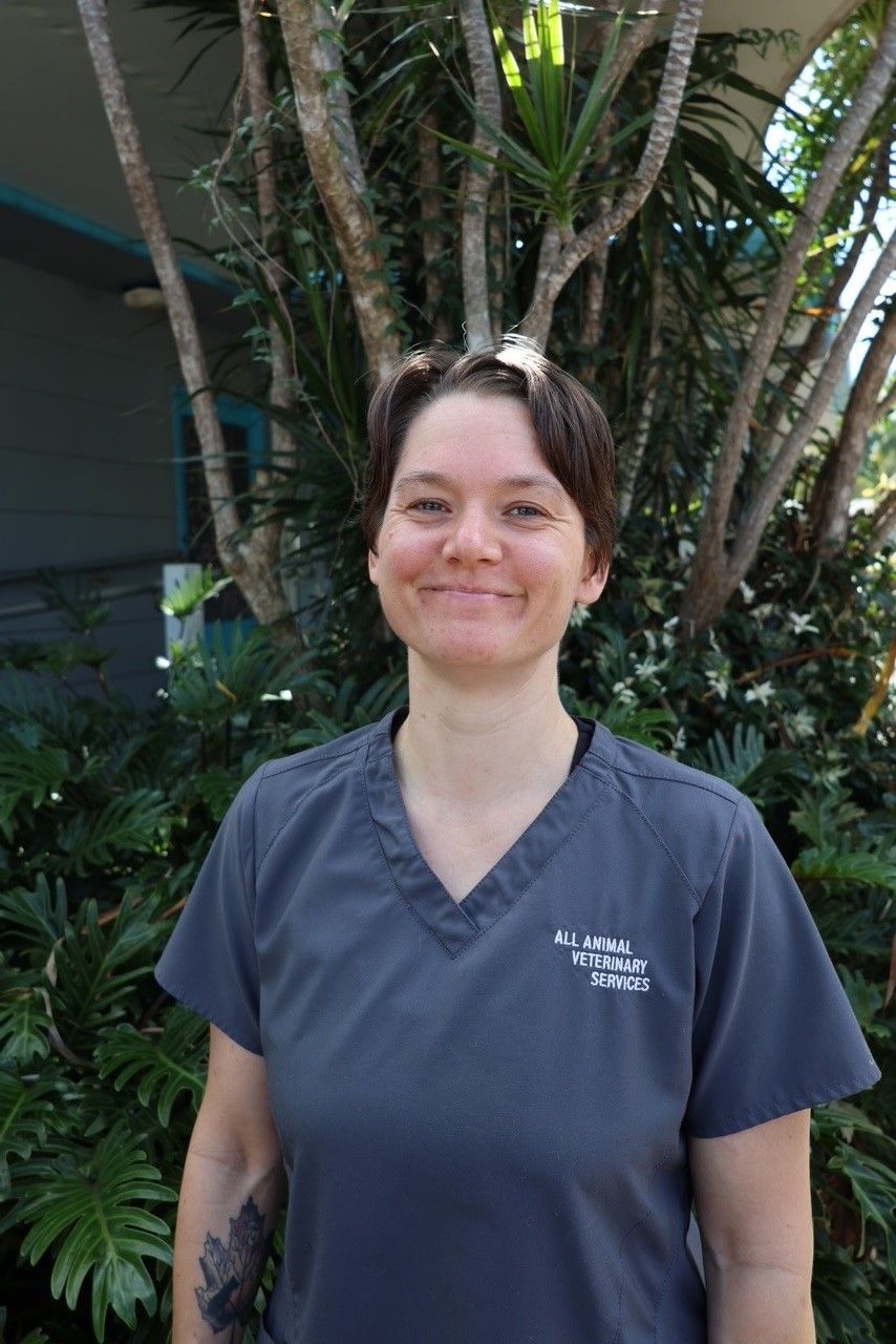 About Us | All Animal Veterinary Services