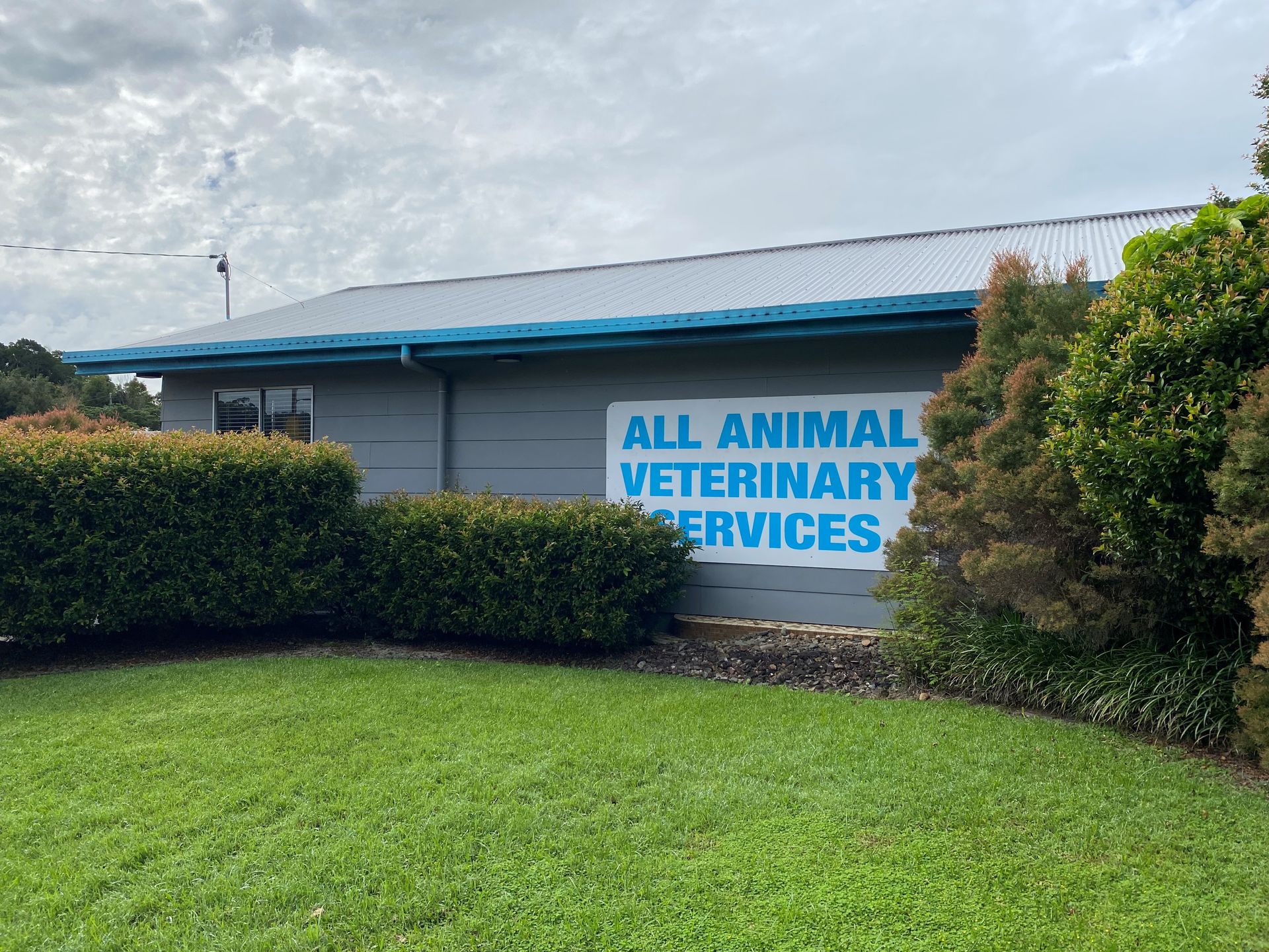 About Us | All Animal Veterinary Services