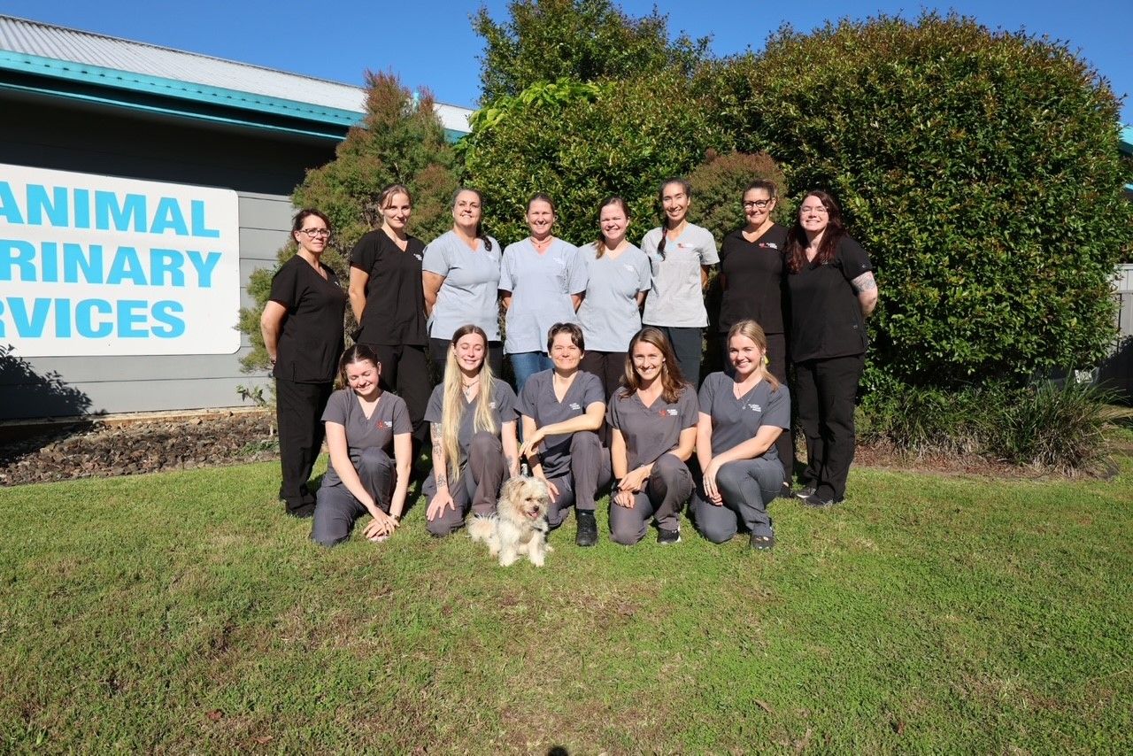 About Us | All Animal Veterinary Services