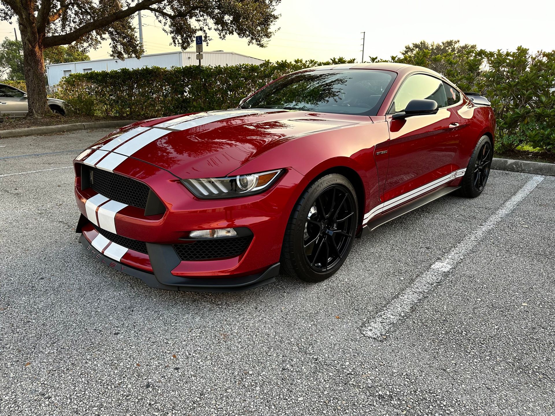 2020 Ford Mustang GT350 | Interior & Exterior Detailing and Waxing ...