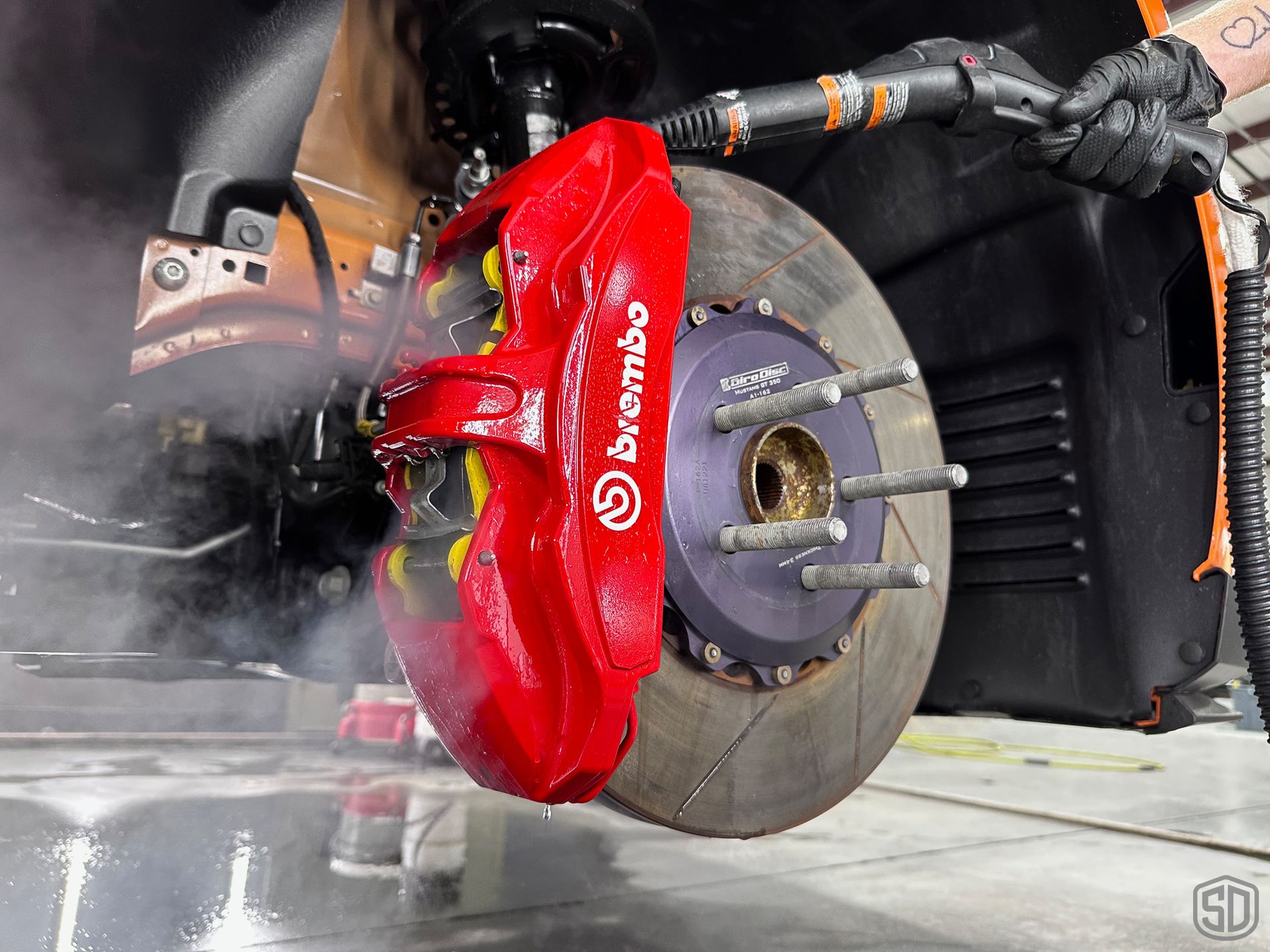 2020 Mustang Shelby GT350R | Annual Modesta Coating, Detail, PPF