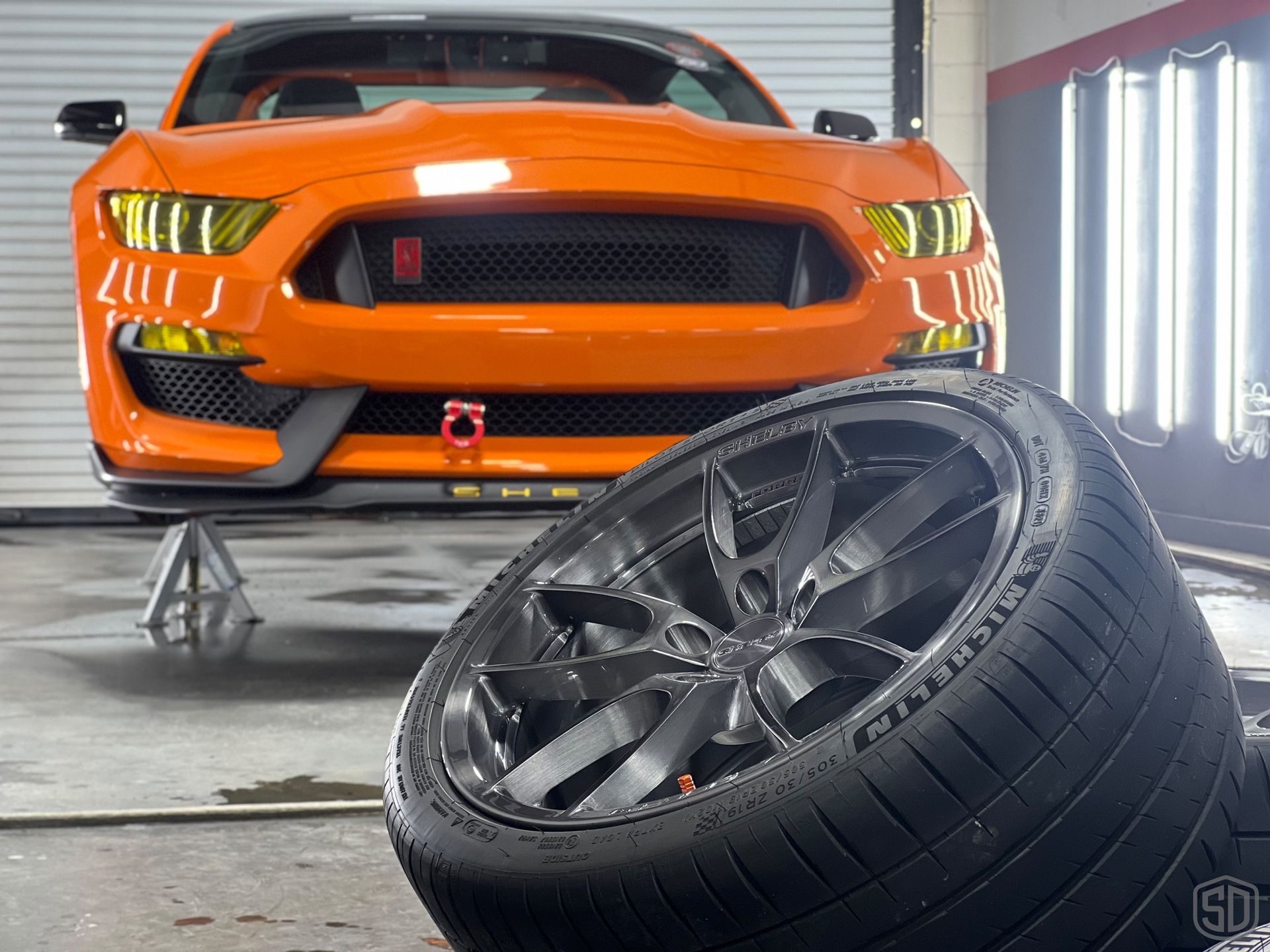 2020 Mustang Shelby GT350R | Annual Modesta Coating, Detail, PPF