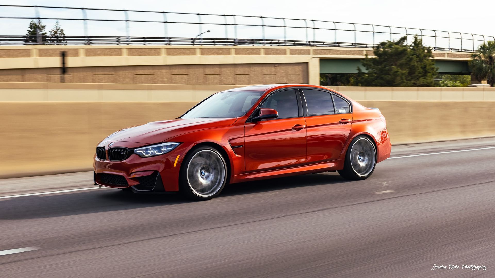 BMW | Paint Correction and Modesta Ceramic Coating | Orlando, FL