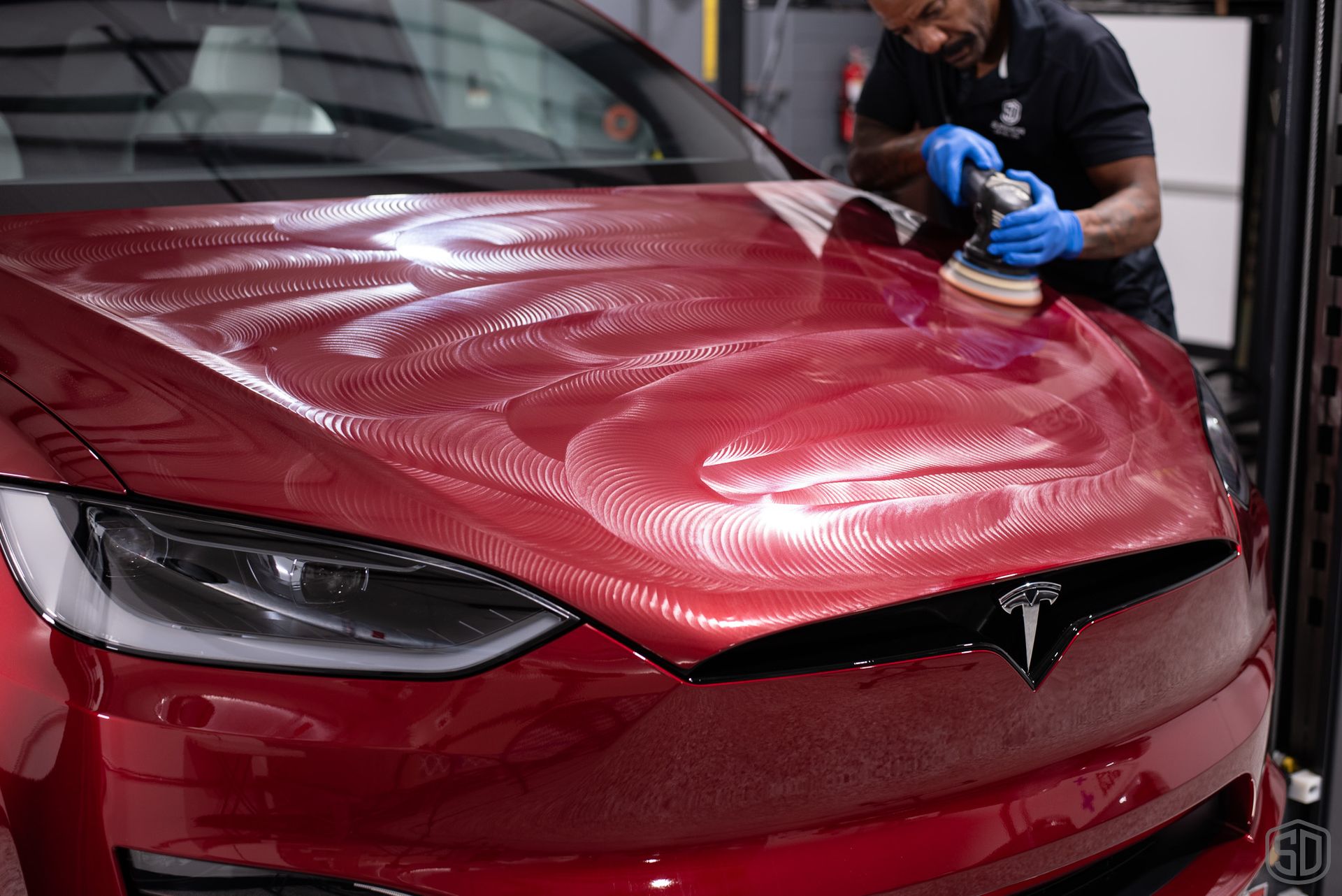 Tesla Model X: PPF and Modesta Ceramic Coatings