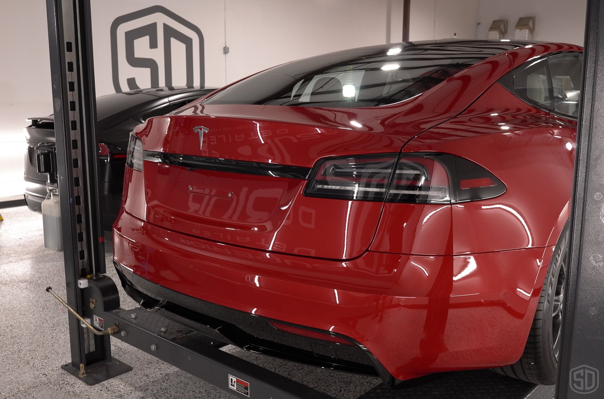 Tesla Model S & X Plaid Paint Correction, PPF, Modesta Protection