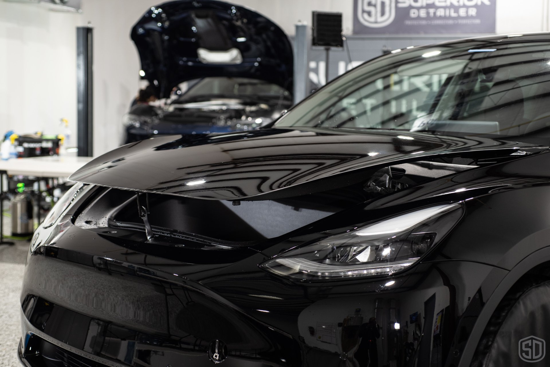 Tesla Model Y - Paint Correction, PPF, Modesta Glass coating