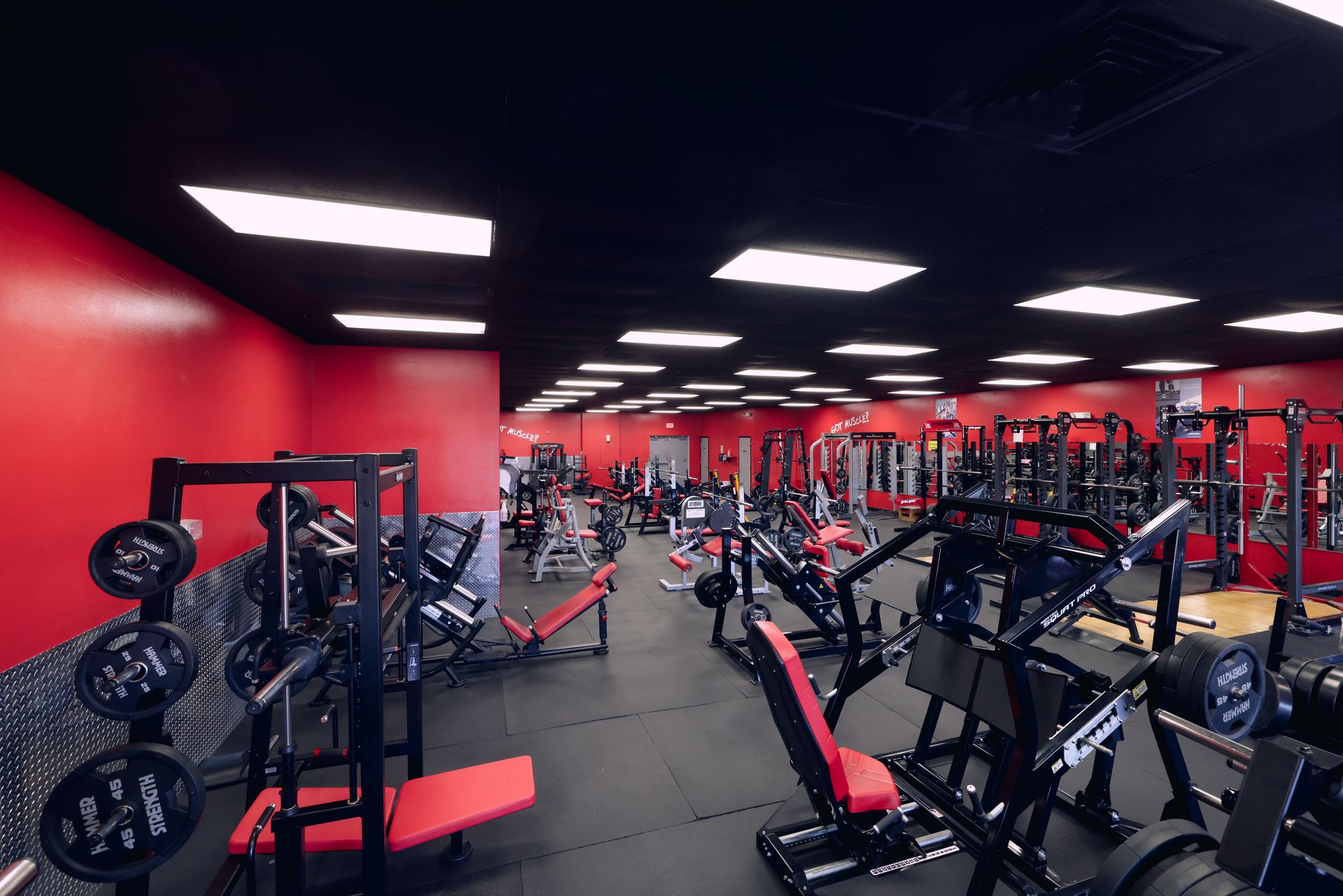 Upscale Gym - 24 Hour Access with Personal Trainers, Saunas & More ...