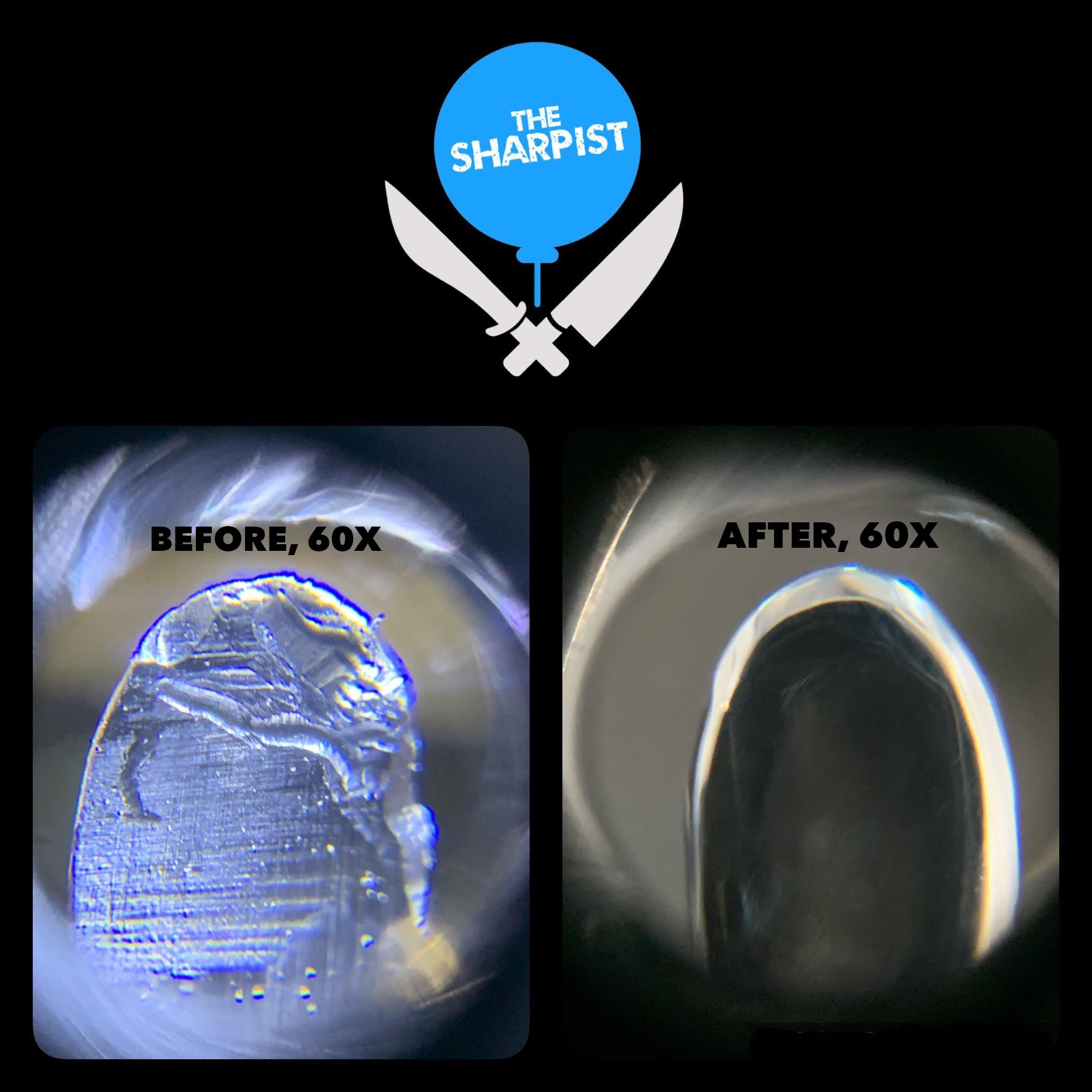 The Sharpist Photo Gallery