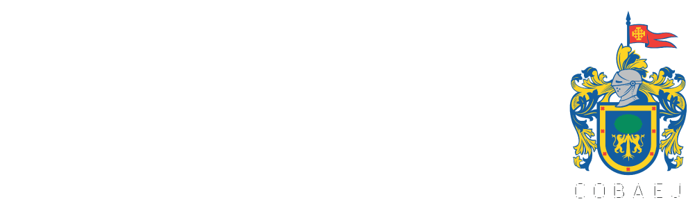 Link Page - Google COBAEJ | Good Team