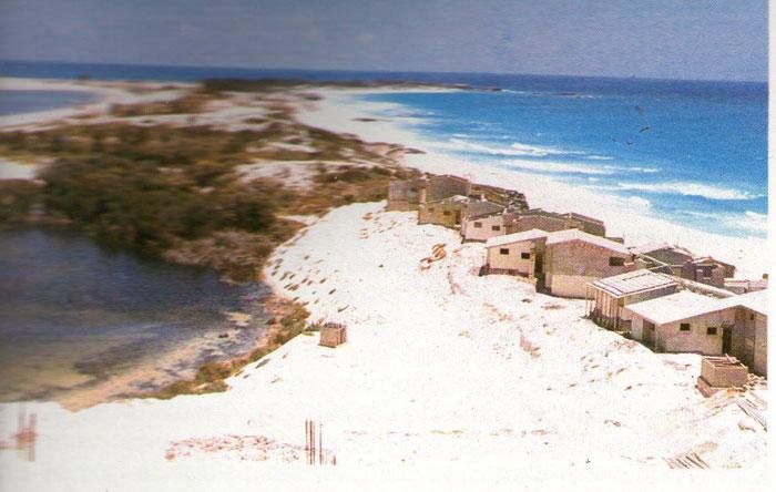 🎉 Happy 55th Anniversary, Cancun!