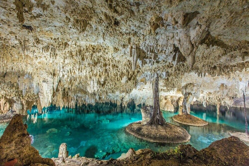 💧 Cenotes in Mexico: Magical Windows to the Underground World