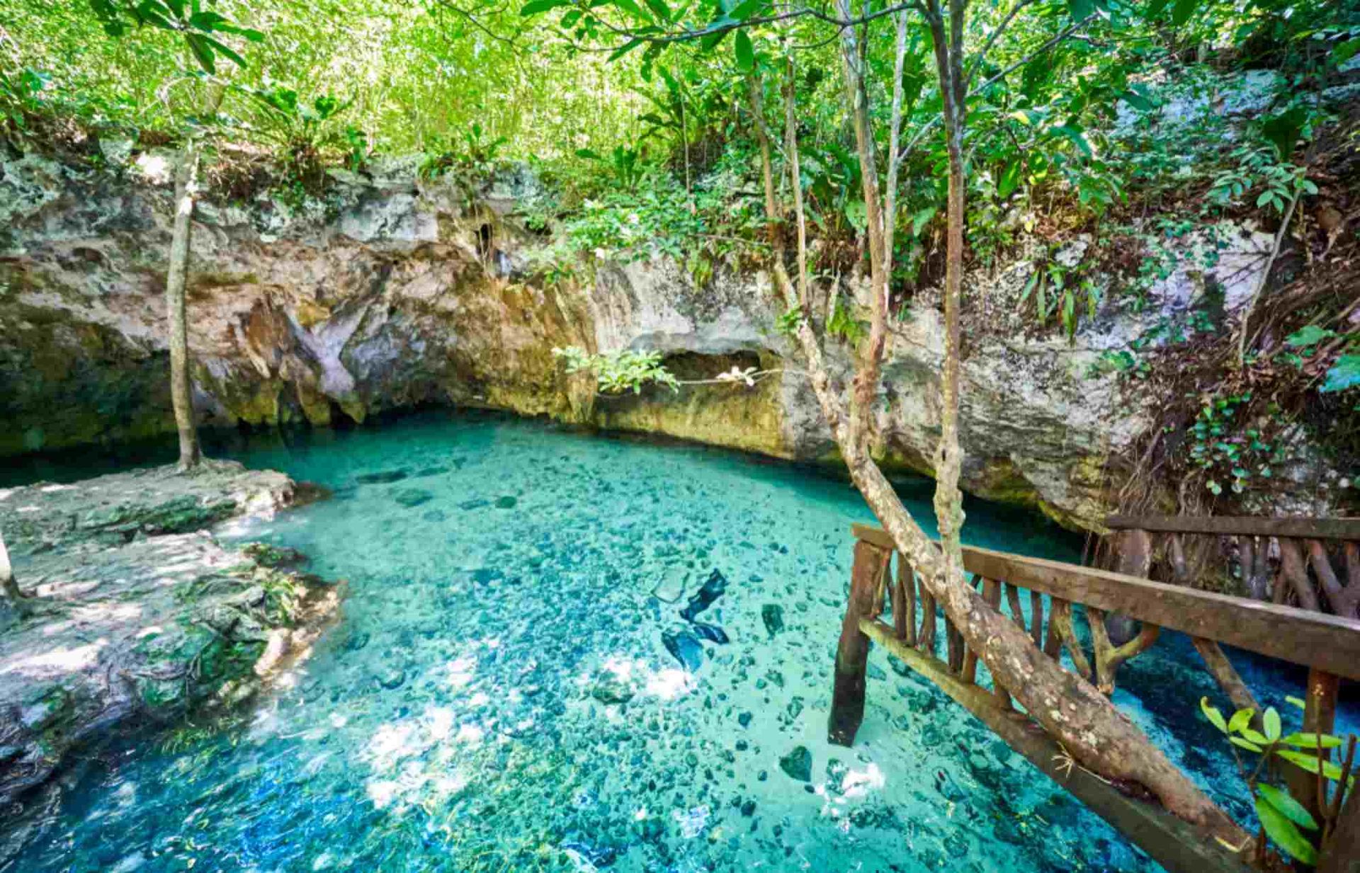 💧 Cenotes in Mexico: Magical Windows to the Underground World