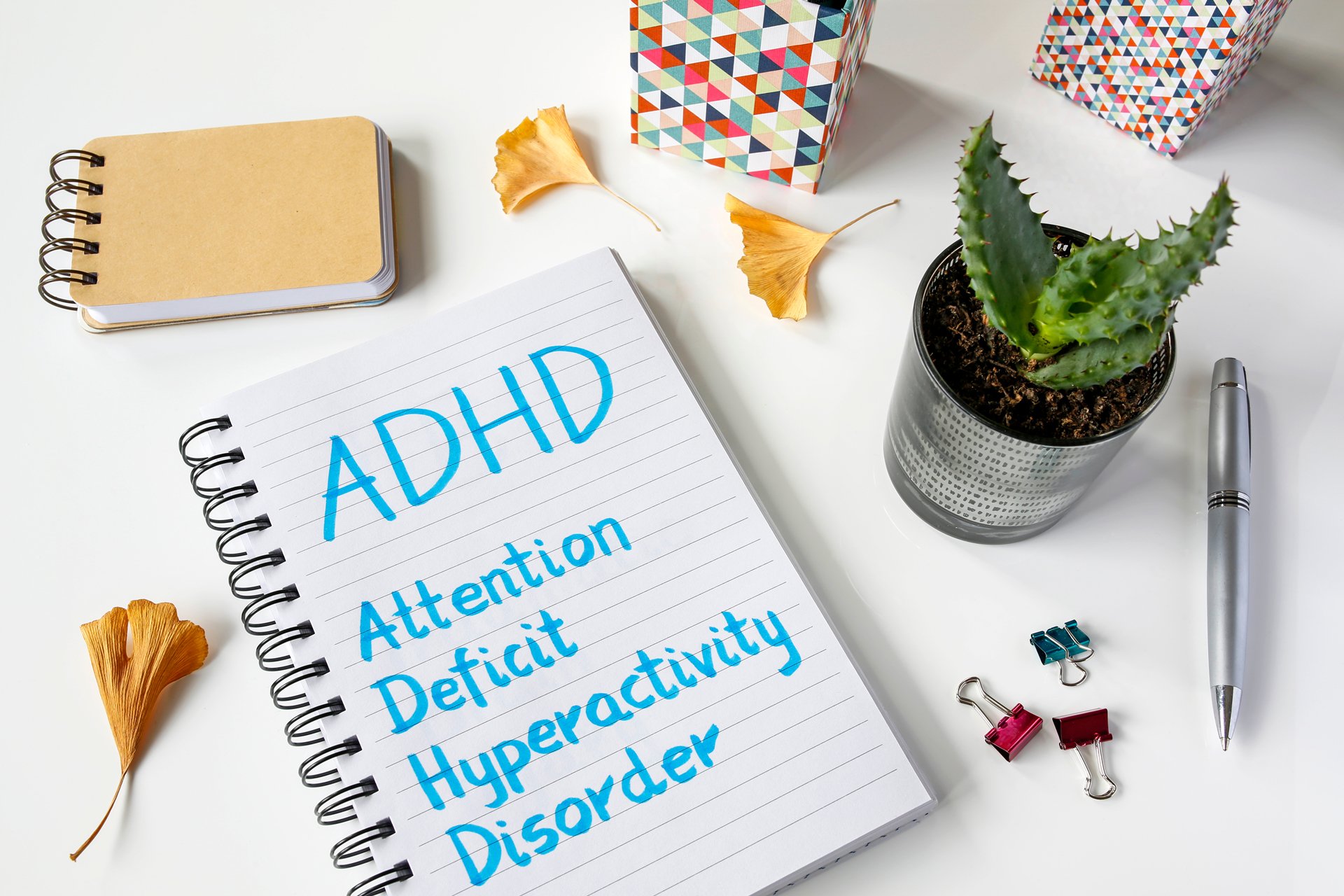 ADHD Clinic | Maine