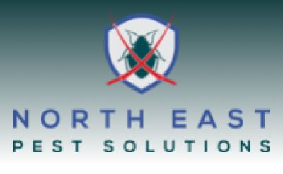 Pest and Wildlife Control | Portland, Maine | North East Pest Solutions