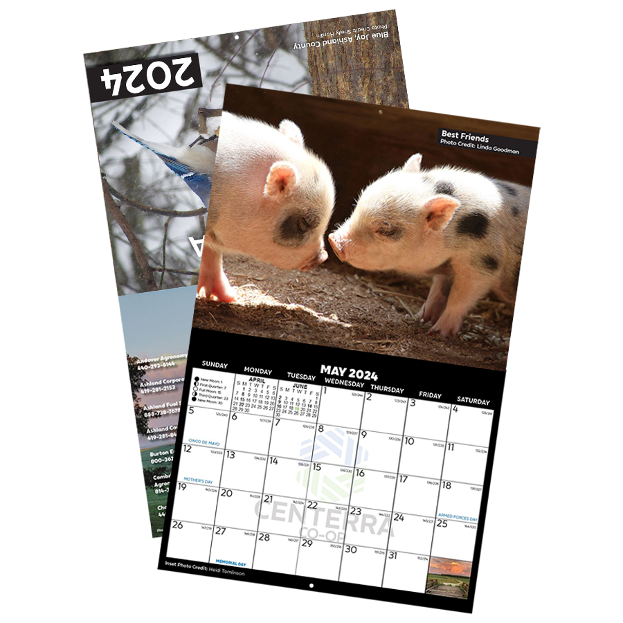 Calendar Photo Contest