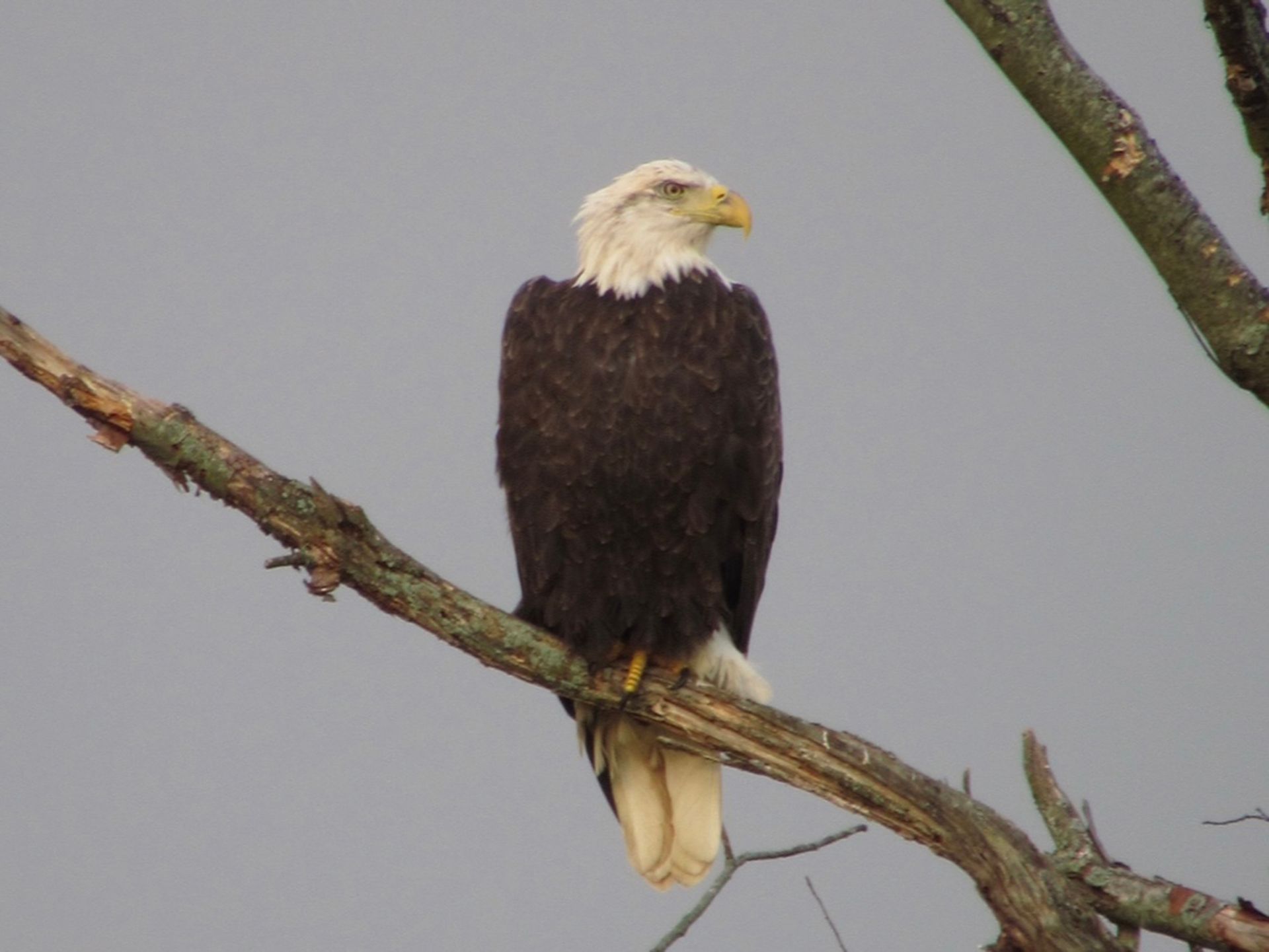 Calendar Photo Contest | Centerra Co-Op