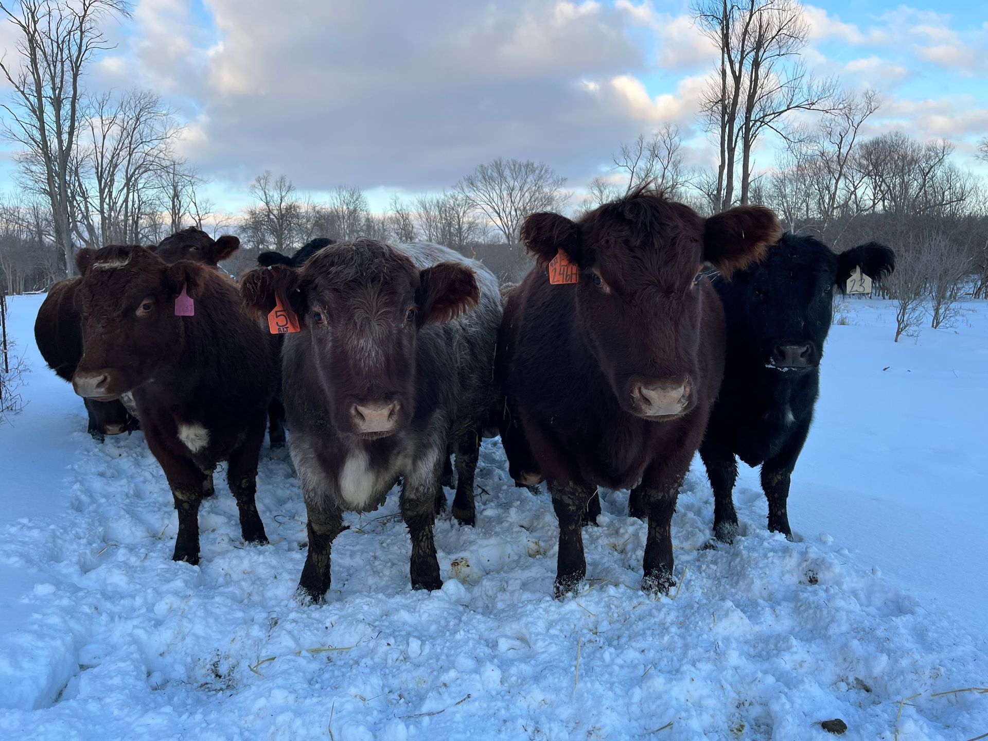 Calendar Photo Contest | Centerra Co-Op