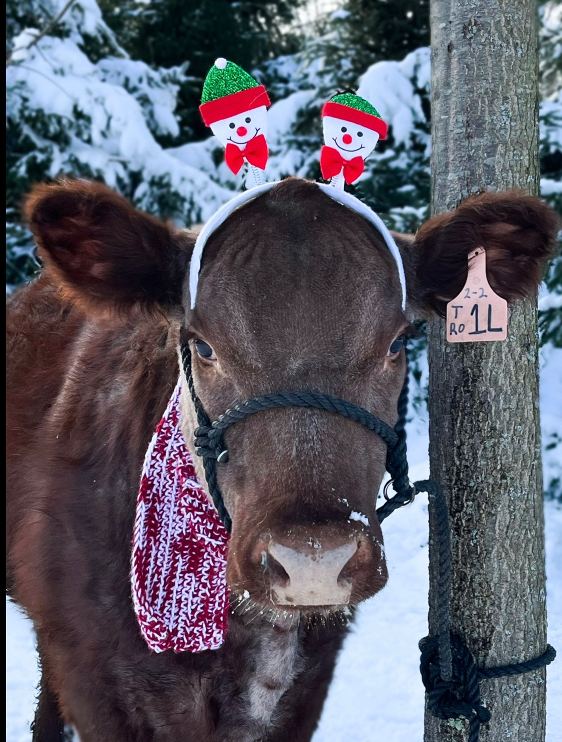 Calendar Photo Contest | Centerra Co-Op