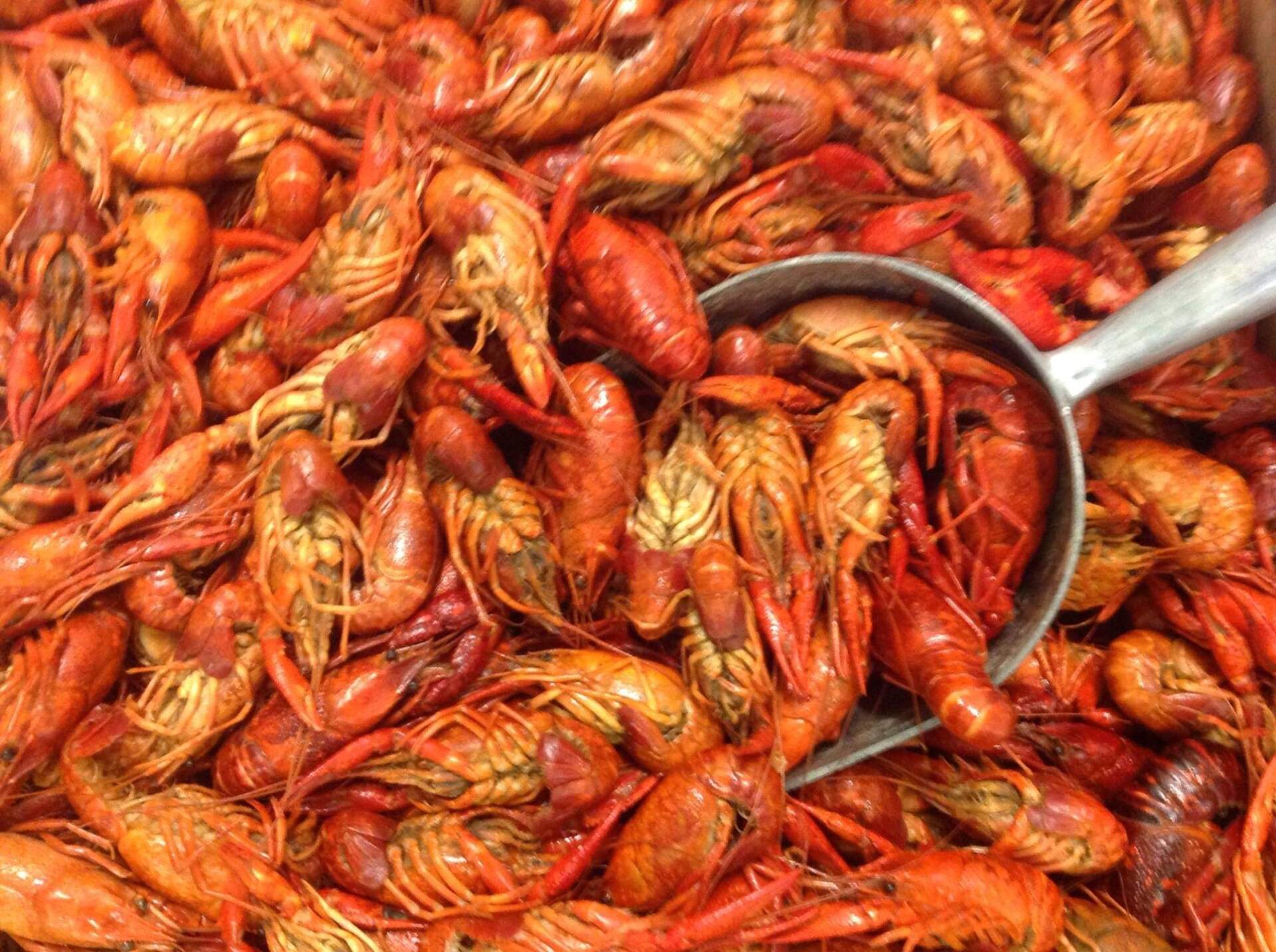 Foley Fish Co Inc | Fish and Seafood Market | Foley, AL
