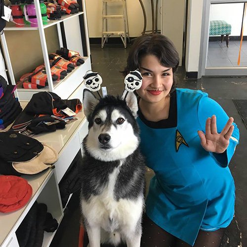 Calgary's Best Dog Daycare | Pawsitively Pooched