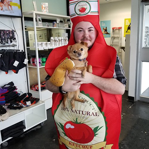 Calgary's Best Dog Daycare | Pawsitively Pooched