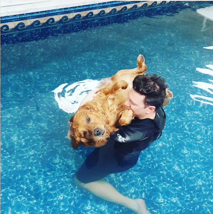 Dog Swimming Calgary | Pawsitively Pooched
