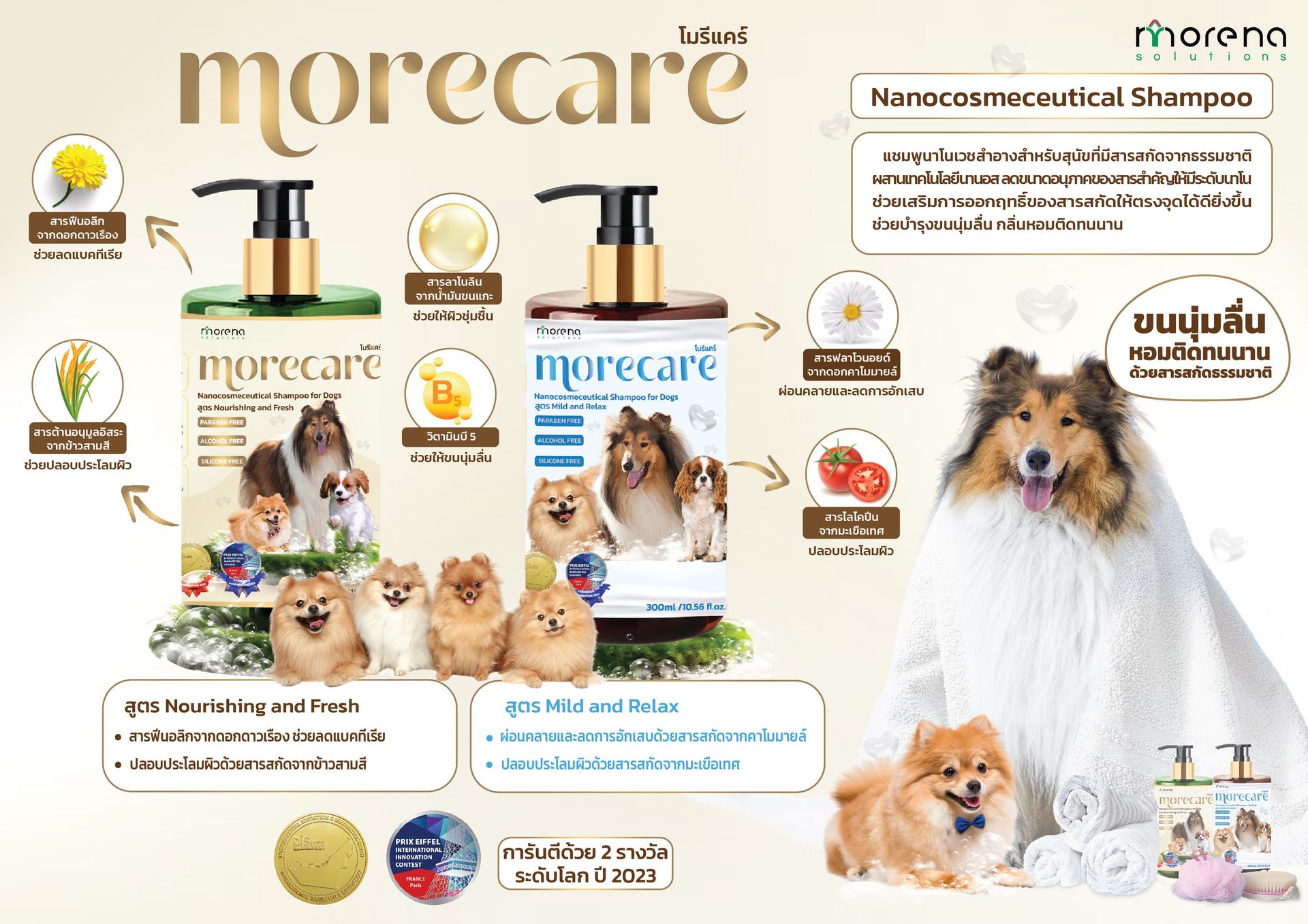 Morena Solutions Co.,Ltd.