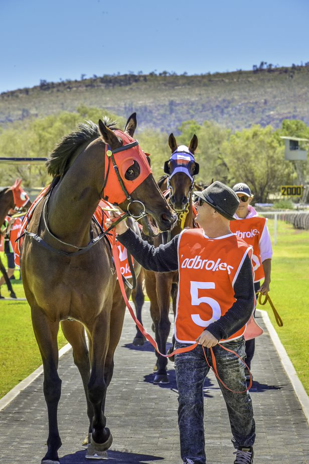 About Us | Alice Springs Turf Club