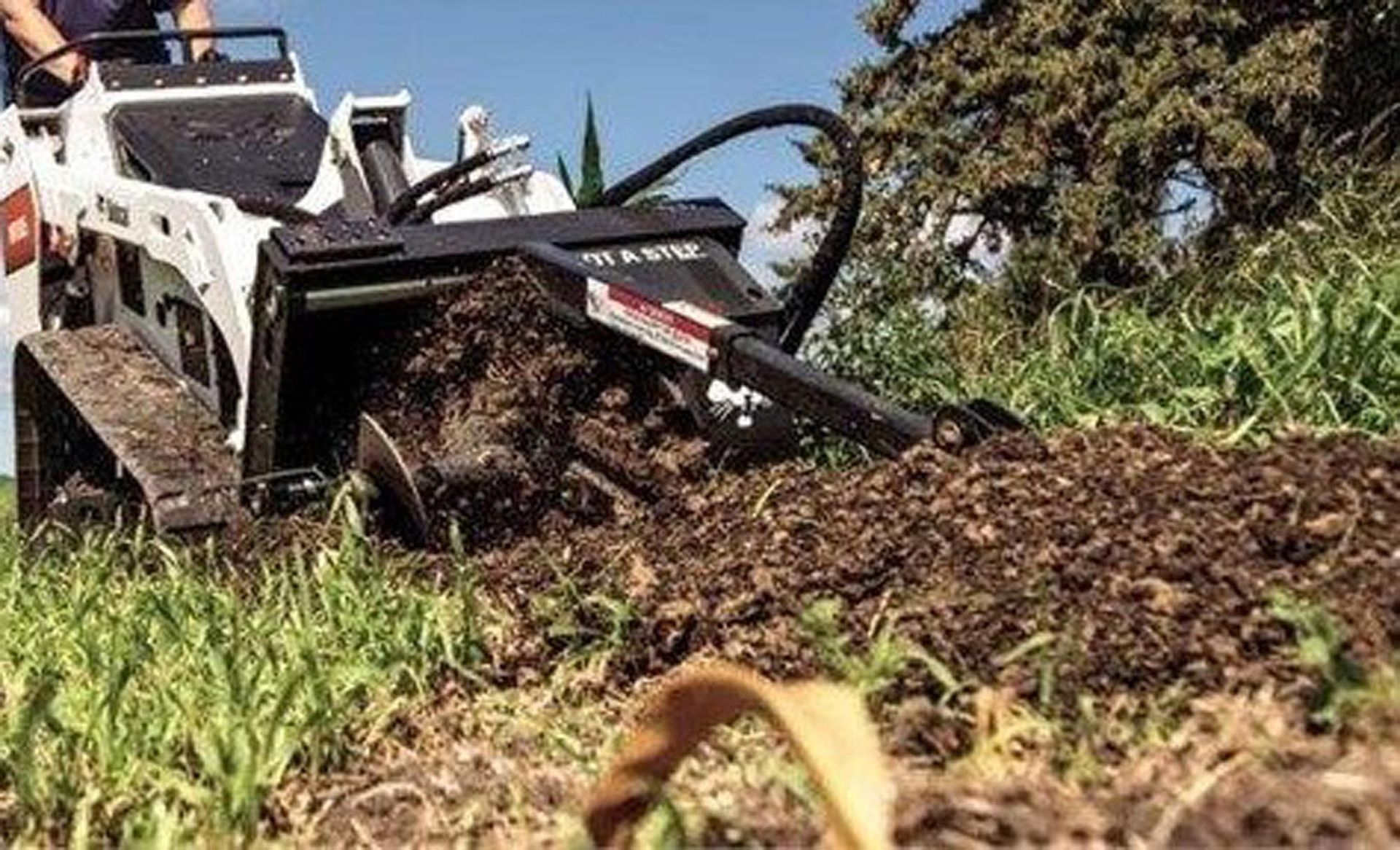 Busy Beaver Tree Services - Top Rated Tree Services - Cattaraugus ...