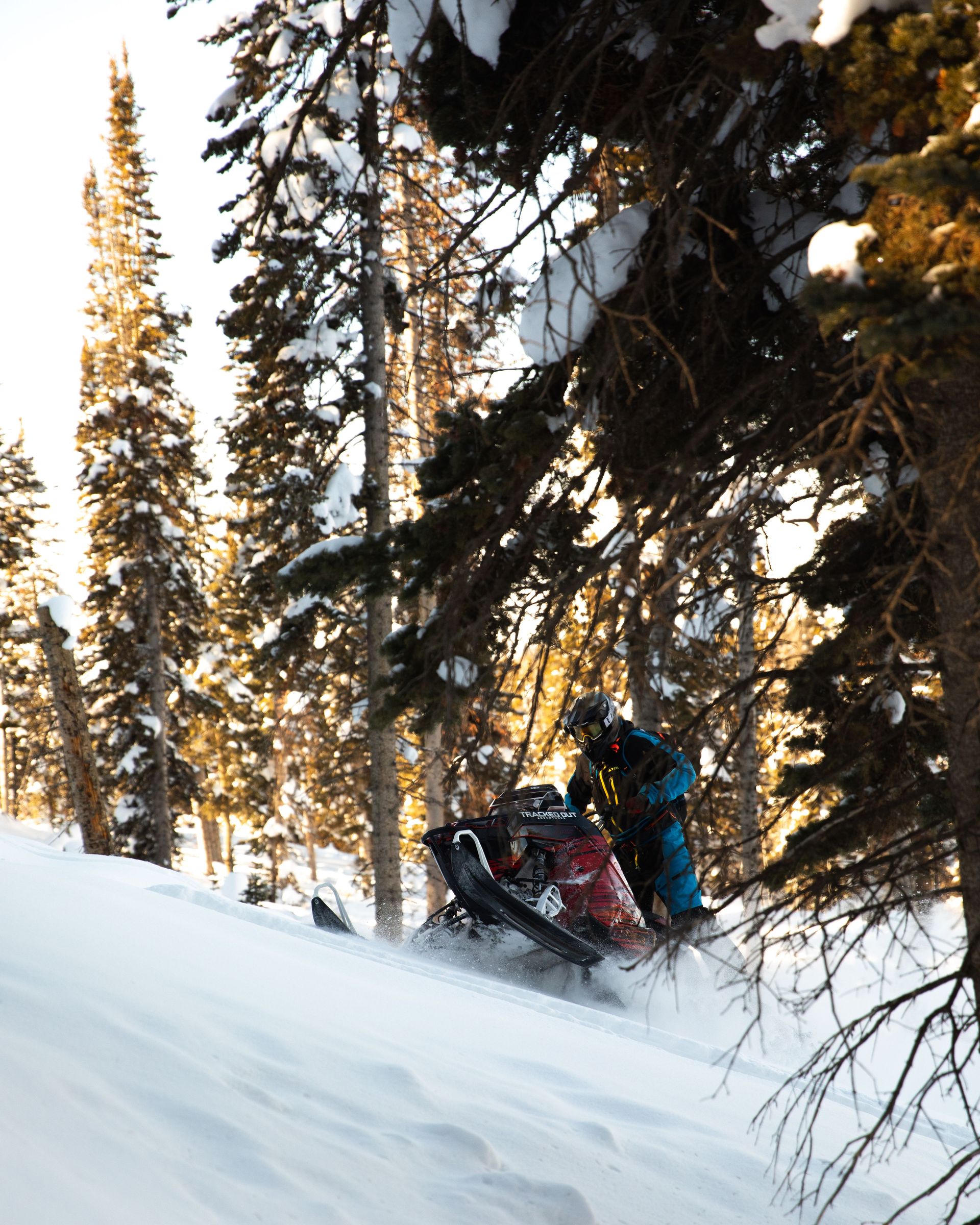 Group Backcountry Snowmobile Tour | Tracked Out Adventures - Utah