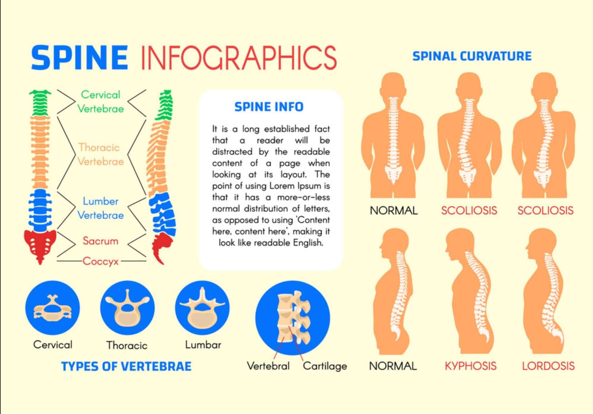 What is an EOS Scan / Imaging?
