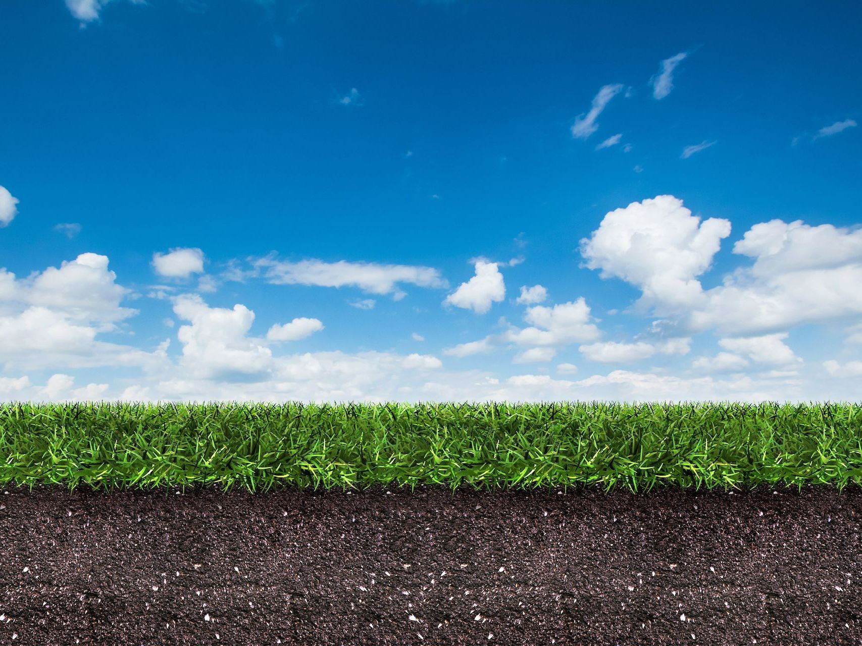 Soil Stabilization | Sarasota, FL | Geo Environmental